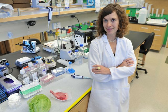 Prominent chefs to speak at UCLA's 'Science and Food' public events | UCLA