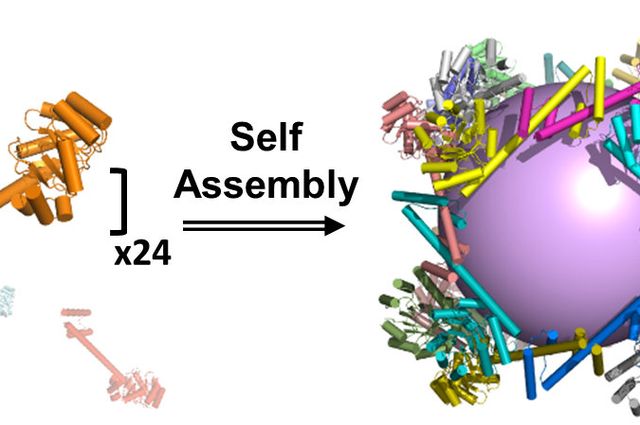 UCLA biochemists build largest synthetic molecular ‘cage’ ever | UCLA