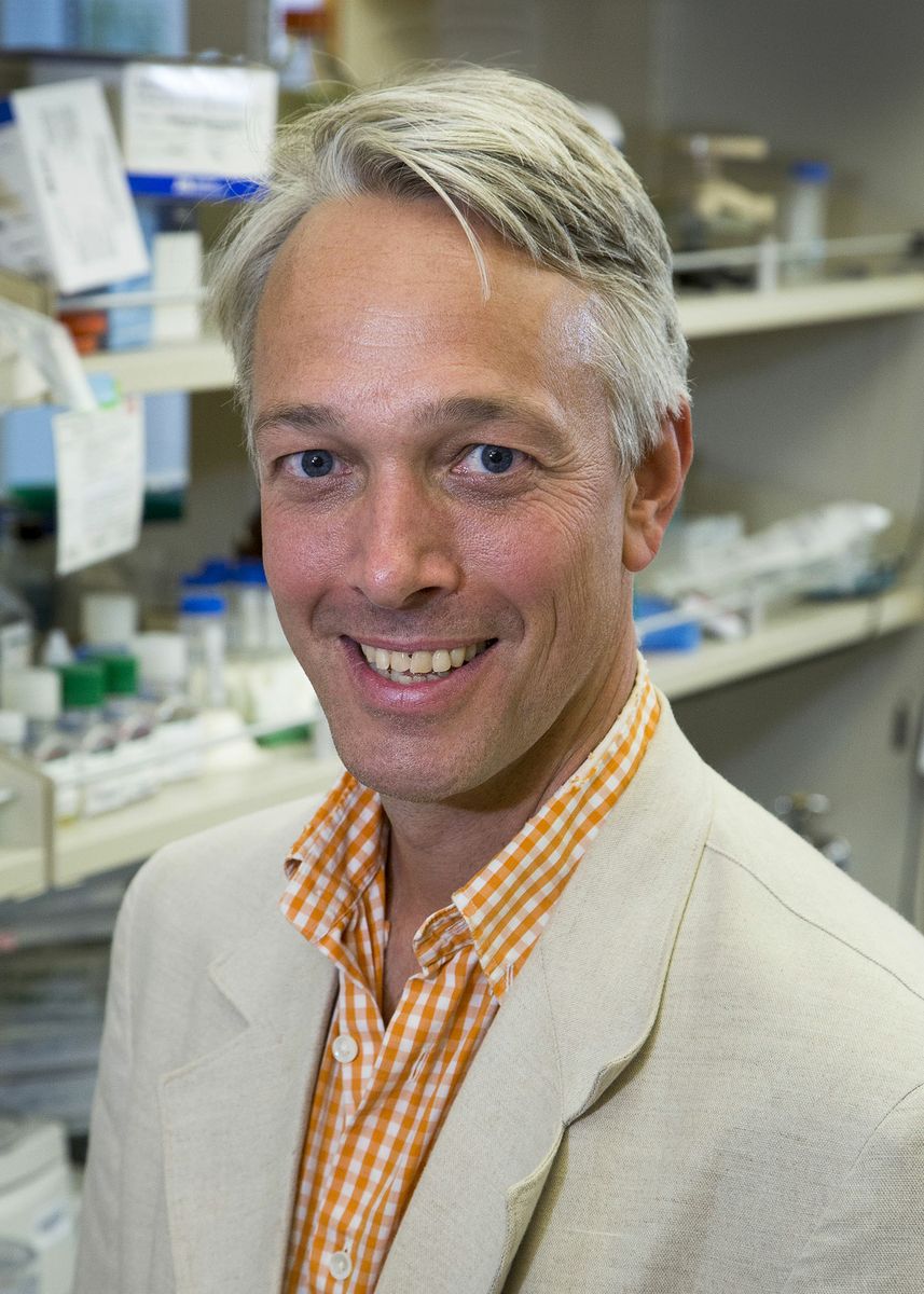 Big data in biosciences and health care is focus of new UCLA research ...