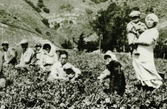 Film documenting lives of first-generation Japanese Americans screens ...