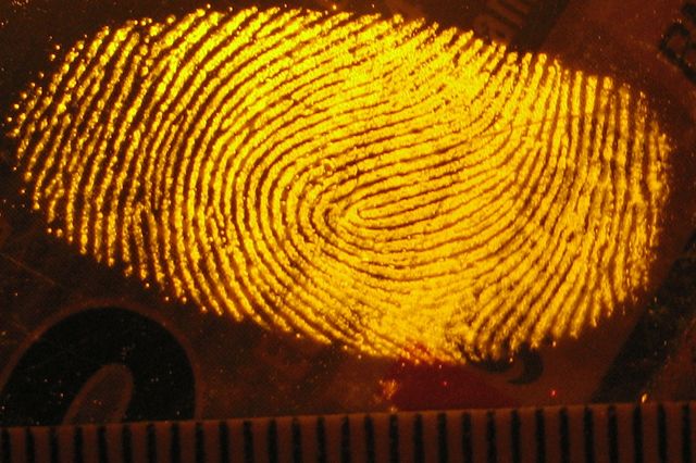 Ucla Professors Develop Method To Determine Fingerprint Comparison Difficulty Ucla 