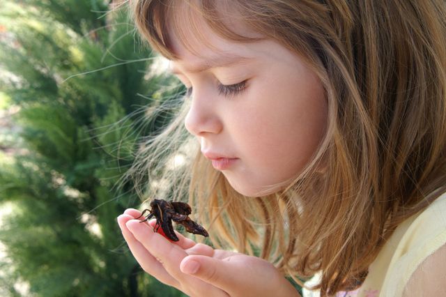 Bug petting zoo at the Fowler June 8 | UCLA