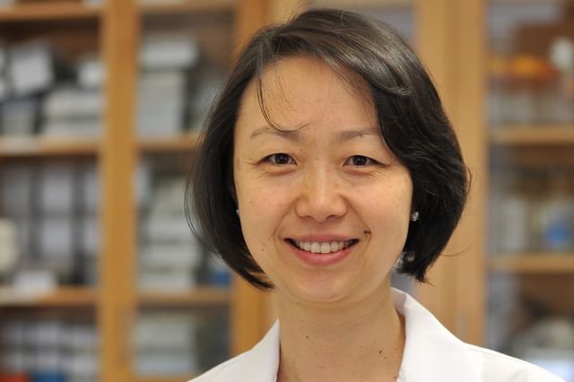 UCLA researchers discover new gene involved in Parkinson's disease | UCLA