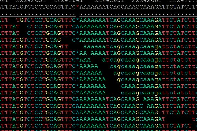 UCLA awarded $7 million to unravel mystery genetic diseases | UCLA