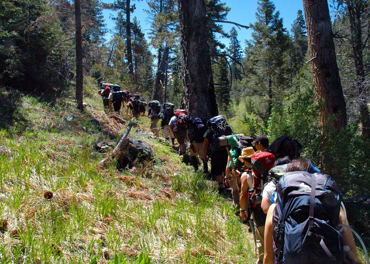 More than hiking and campfires at UCLA camp | UCLA