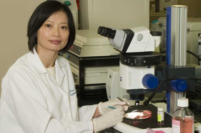 Dr. Sophie Deng receives $700,000 award to treat blinding eye disorder ...