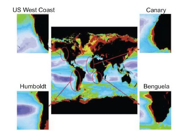 With NSF grant, UCLA scientists to predict climate change in key ...