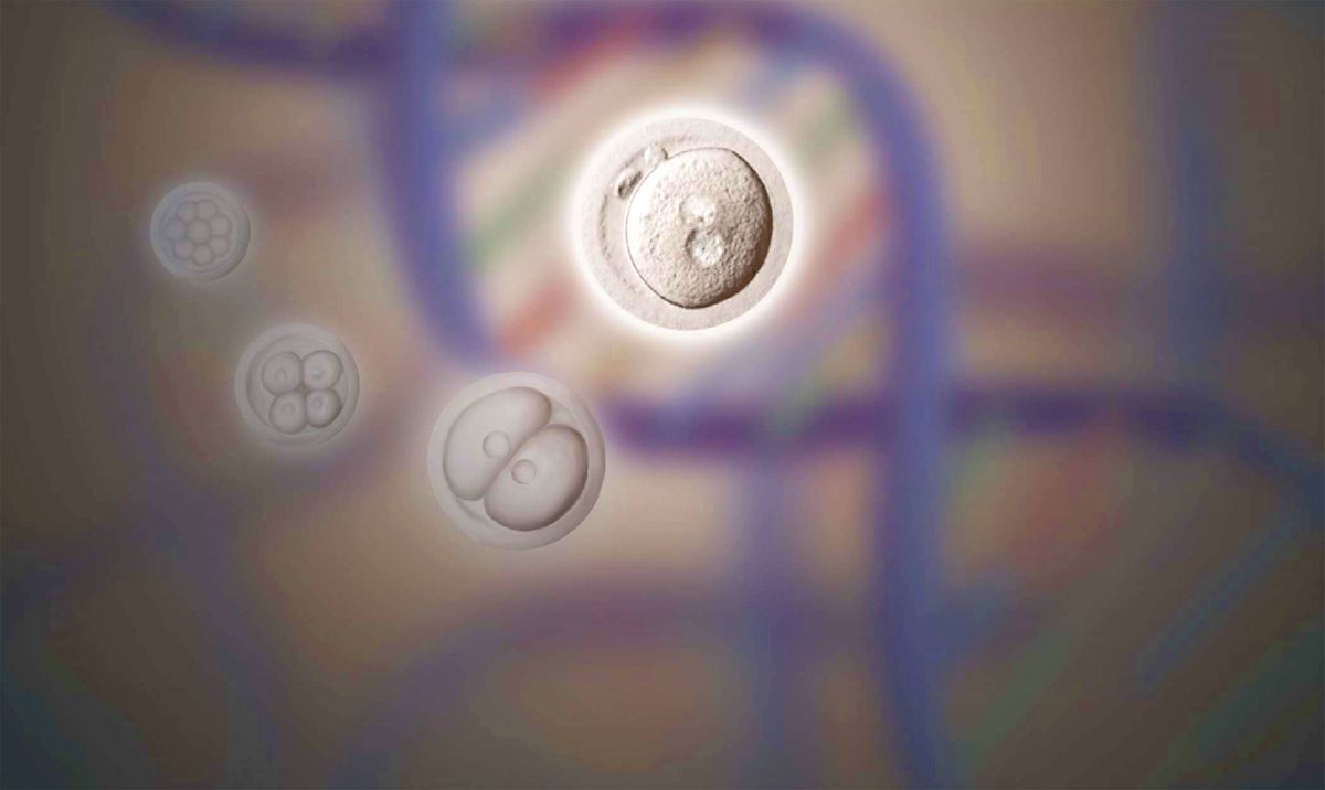 Scientists propose benchmark for better replication of natural stem ...