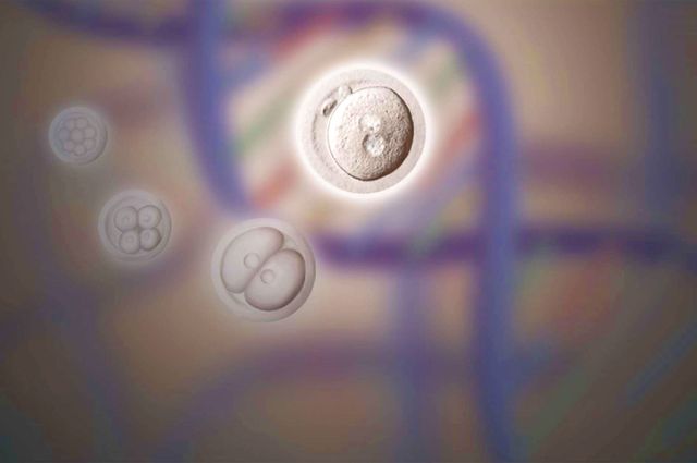 Scientists propose benchmark for better replication of natural stem ...