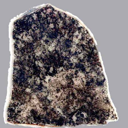 Scientists discover organism that hasn’t evolved in more than 2 billion ...