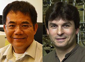 Professors Yang, Kaner named to Royal Society of Chemistry | UCLA