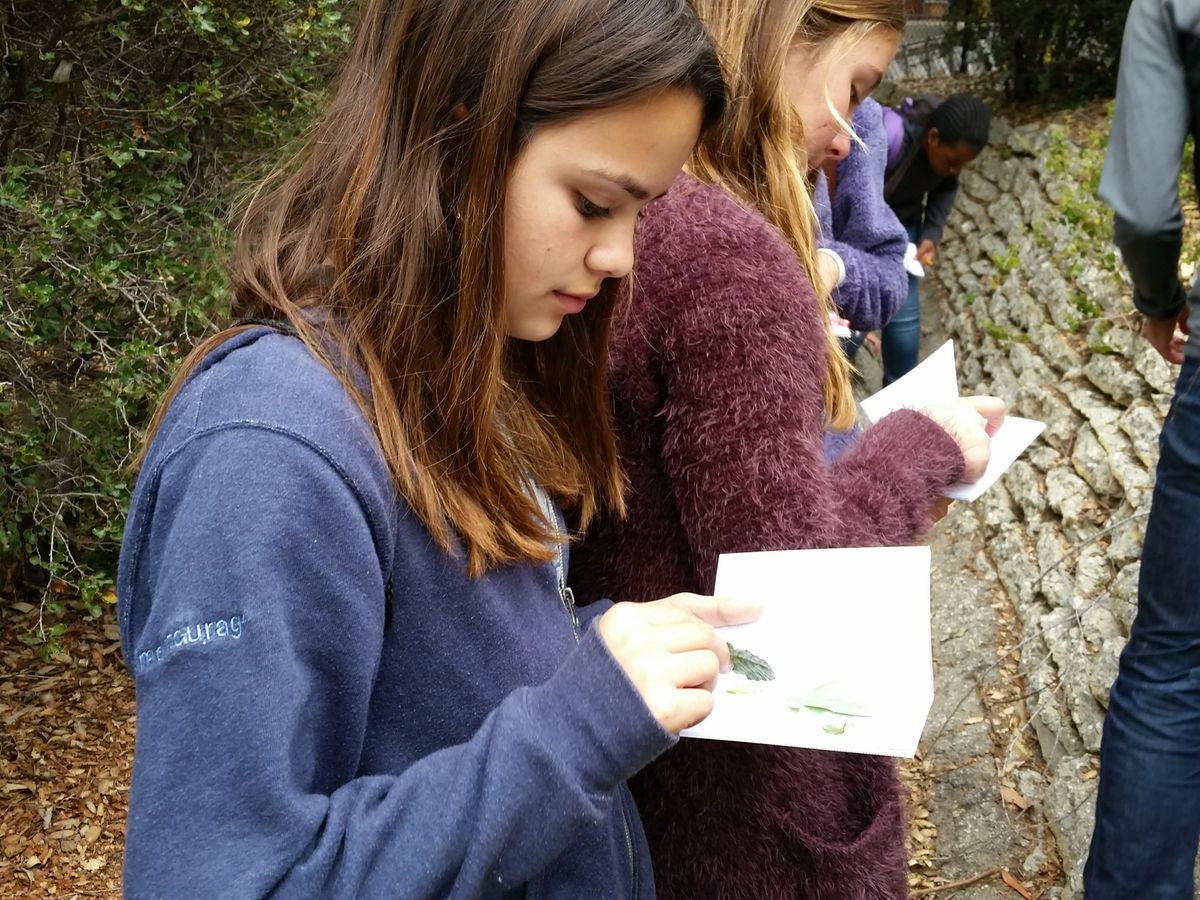 L.A. students learn from ‘Wallace Walks’ in UCLA’s Botanical Garden | UCLA