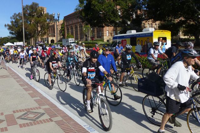 Biking angels raise $48,000 for UCLA Blood and Platelet Center | UCLA