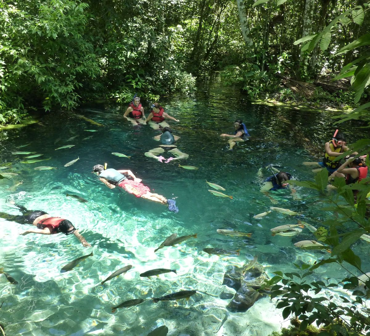 Ecotourism can put wild animals at risk, scientists say | UCLA