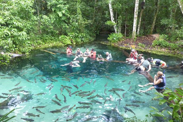 Ecotourism can put wild animals at risk, scientists say | UCLA