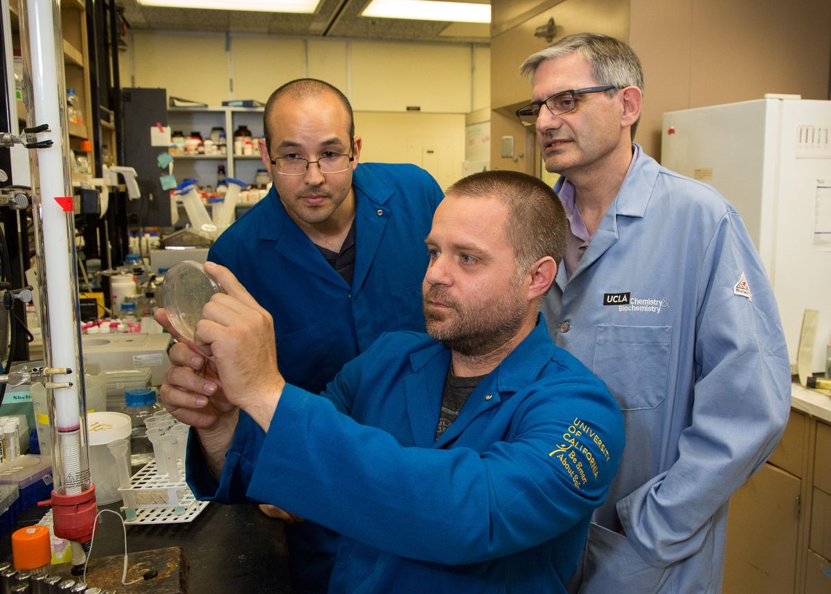 Photo | Paul Opgenorth, Tyler Korman, James Bowie | UCLA