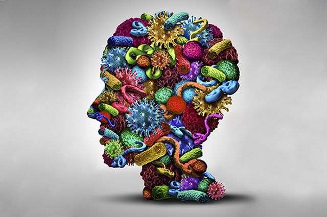 Your brain on microbes: what scientists are finding | UCLA