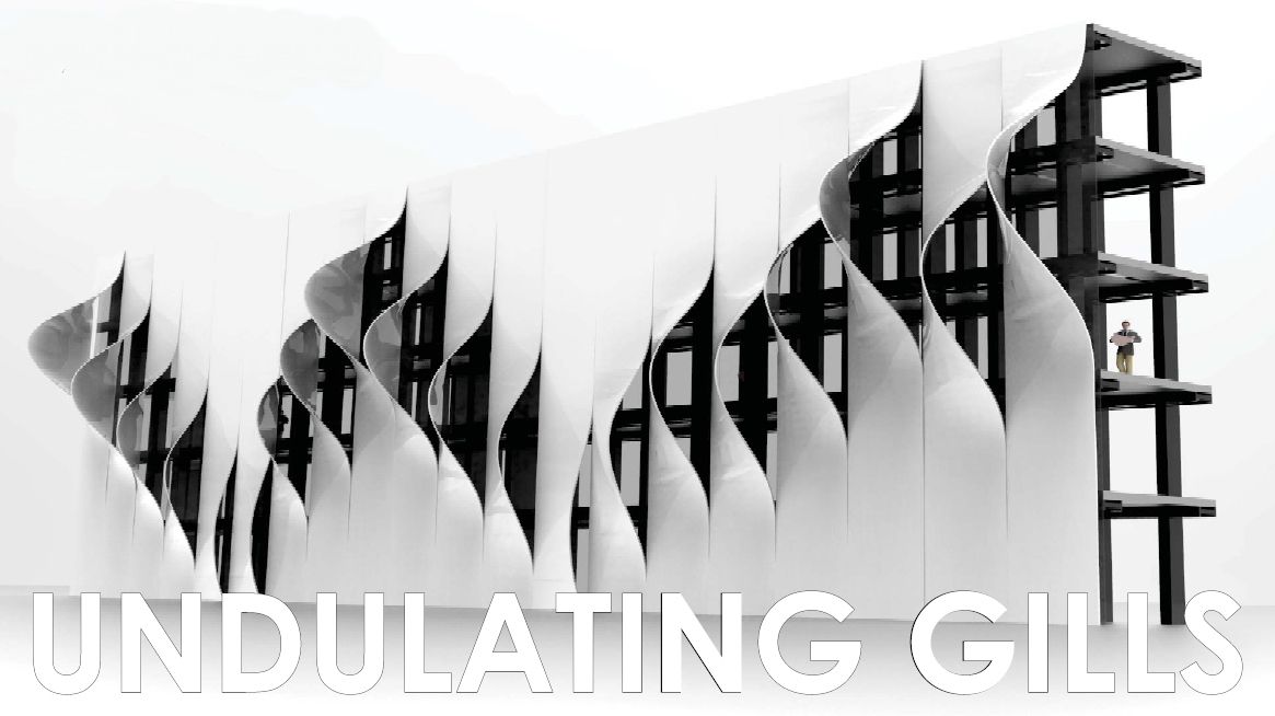 Photo | Undulating Gills | UCLA