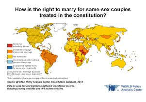 LGBT rights and protections are scarce in constitutions around the ...