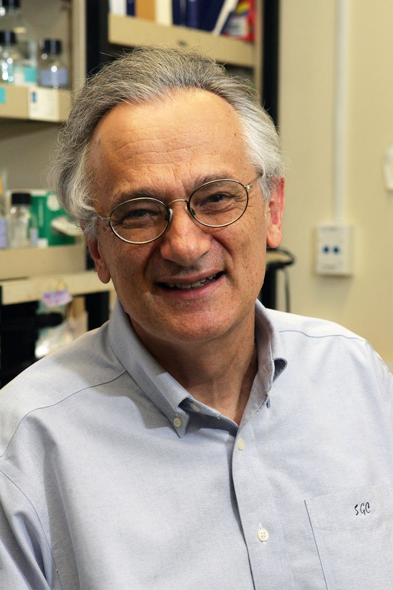 Steven Clarke wins national biochemistry award | UCLA