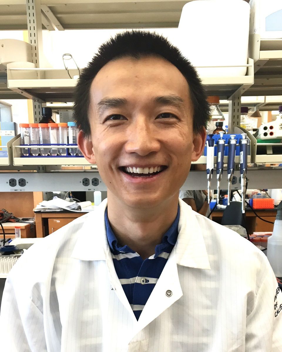 Photo | Wen Gu headshot | UCLA