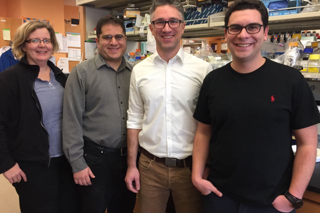 Study pinpoints how skin cells’ identity can be disassembled to create ...