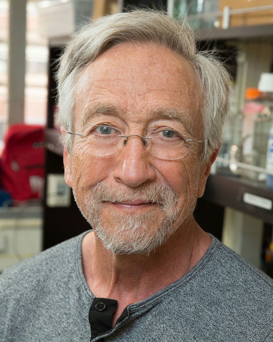 Neuroscientist recognized as NIH outstanding investigator | UCLA