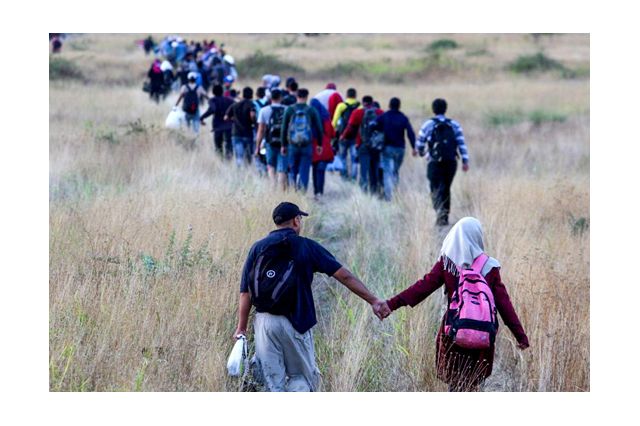 New minor in international migration studies launches this fall | UCLA