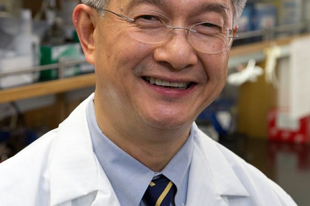 Dentistry researcher receives a $2.5M grant to validate liquid biopsy ...