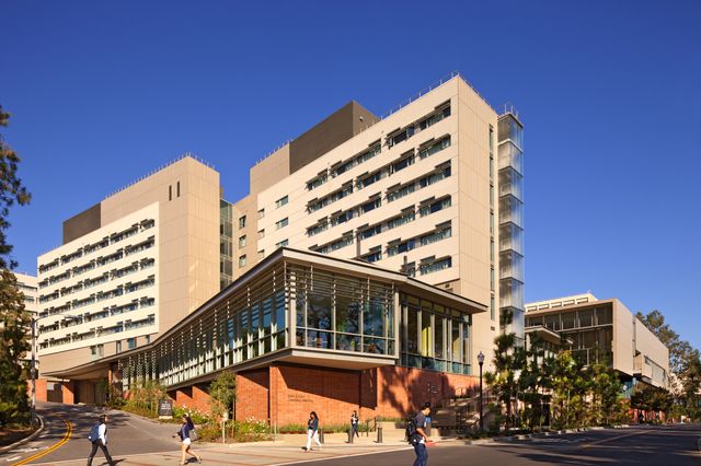 Bruin Plate becomes four-star certified green restaurant | UCLA