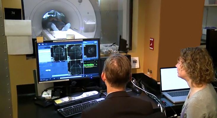 Mapping reveals reactions differ in male and female brains during ...