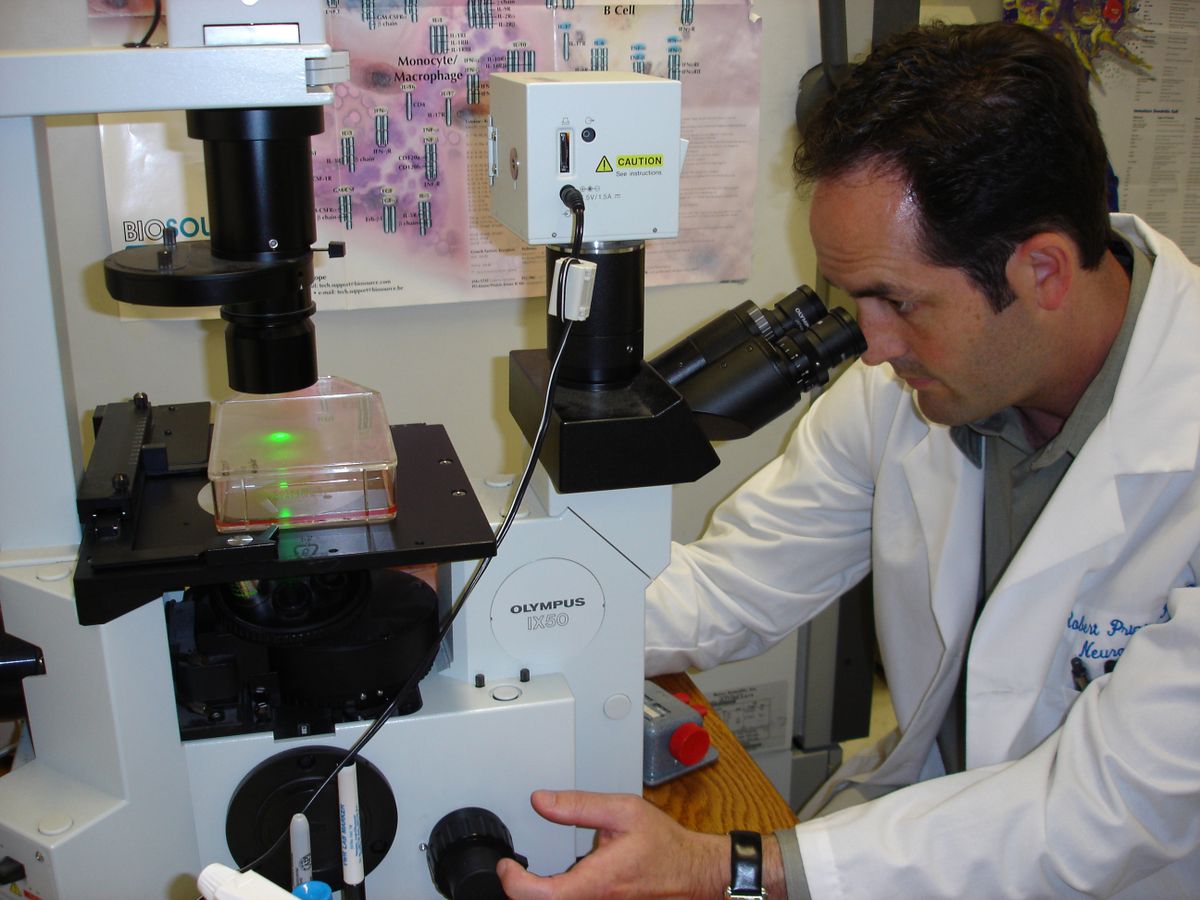 New technique gives a clearer image of immunotherapy results in ...