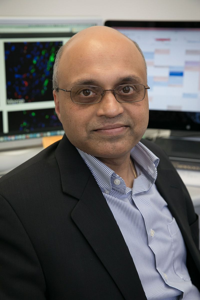 Stem cell researcher elected to American Society for Clinical ...