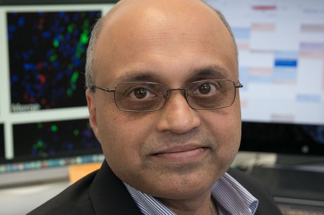 Stem cell researcher elected to American Society for Clinical ...