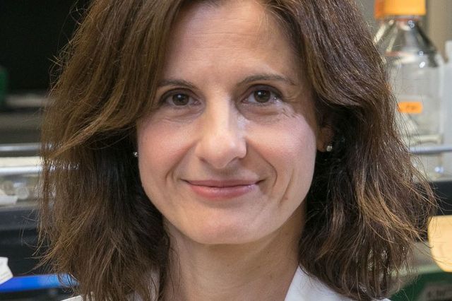 UCLA neuropathologist selected for $2.5 million Ben Barres Early Career ...