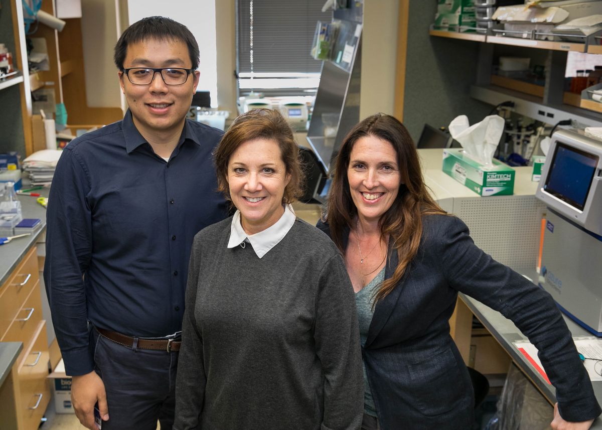 Photo | Meng Spencer and Pyle | UCLA