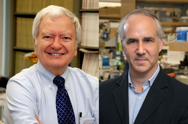 UCLA professors receive award for Alzheimer’s research | UCLA