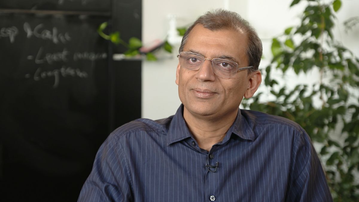 UCLA researcher uses virtual reality to understand how animals perceive space | UCLA