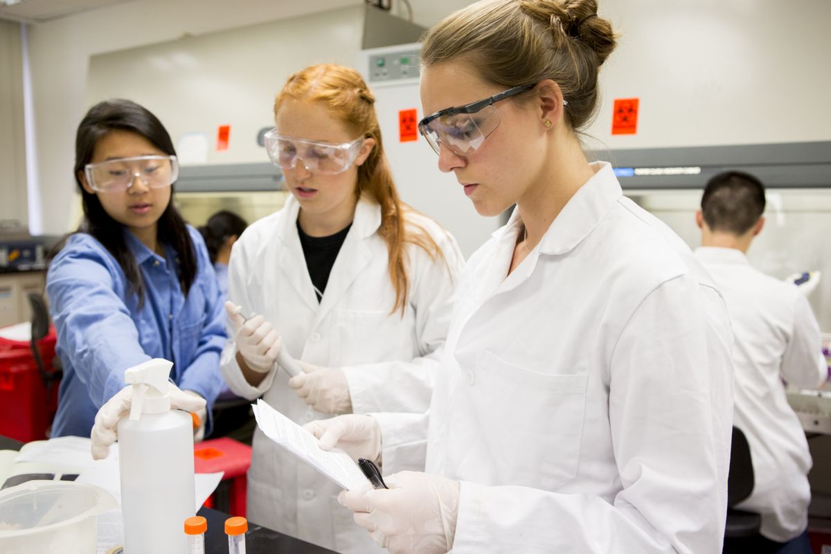 UCLA’s impact on California economy is $11.06 billion | UCLA