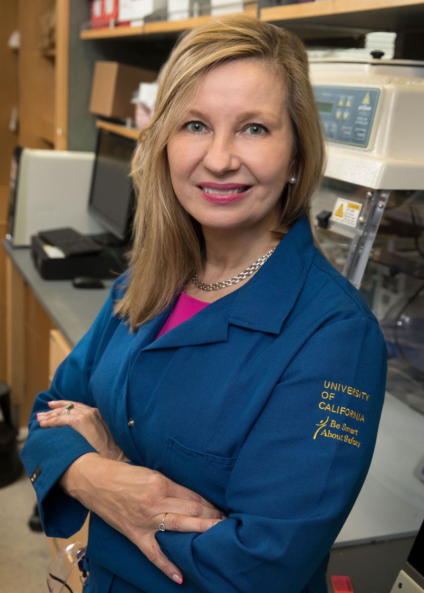 UCLA-led team develops new system for tracking chemicals in the brain ...