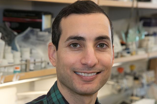 Researcher honored for work developing new treatments for prostate ...