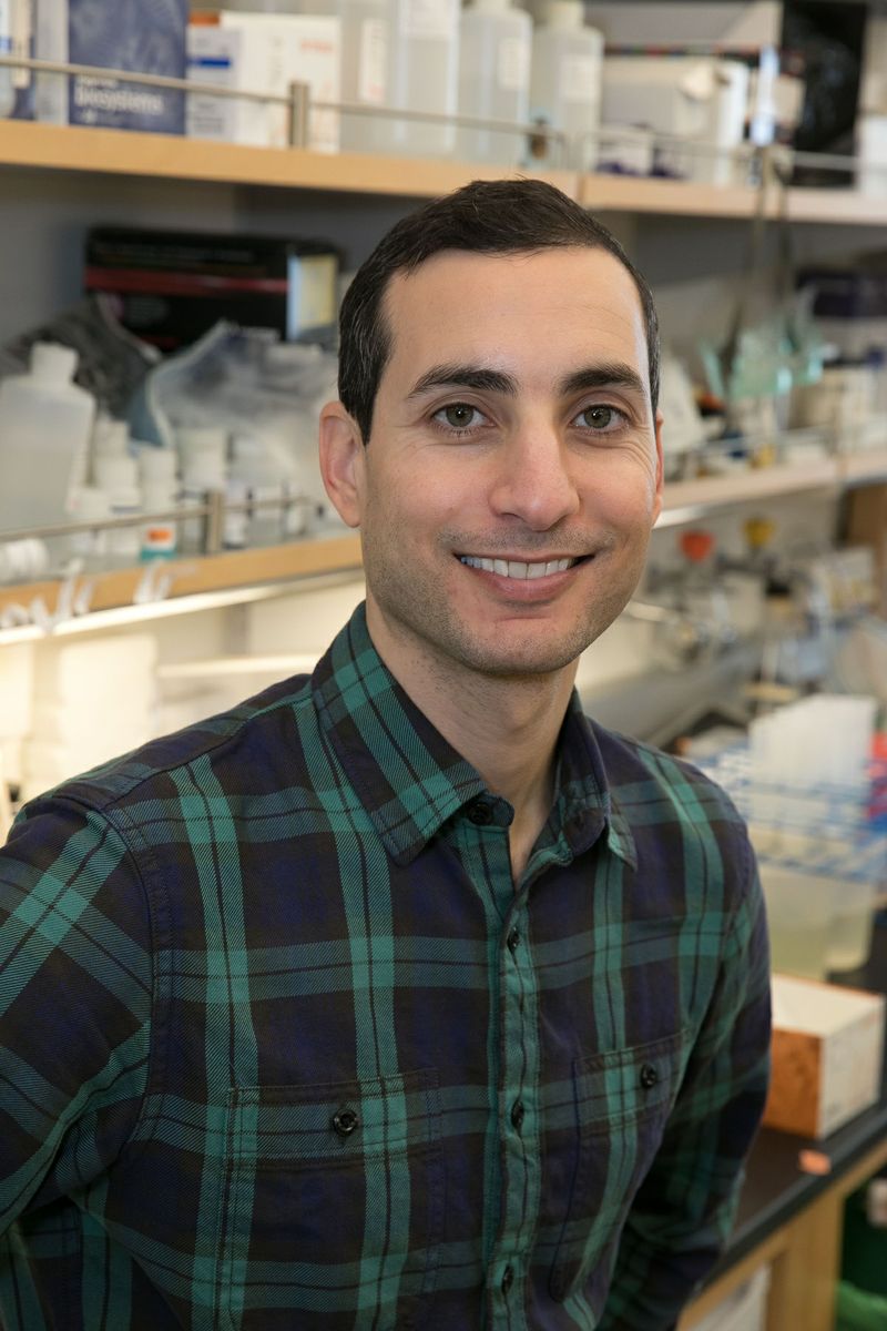 Researcher honored for work developing new treatments for prostate ...