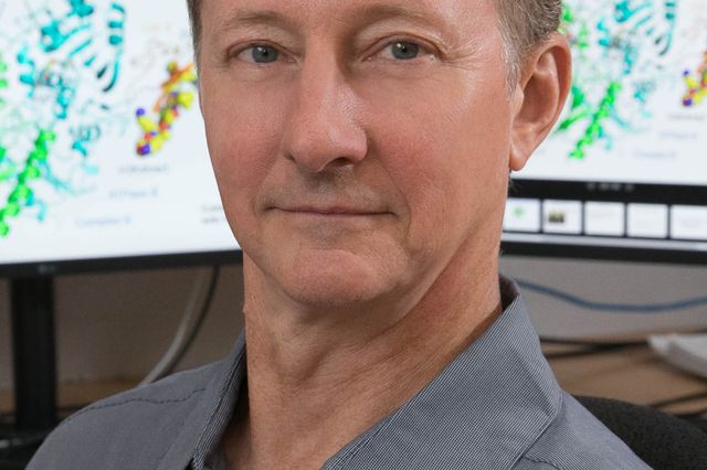 UCLA biologist’s research could lead to more resilient crops | UCLA