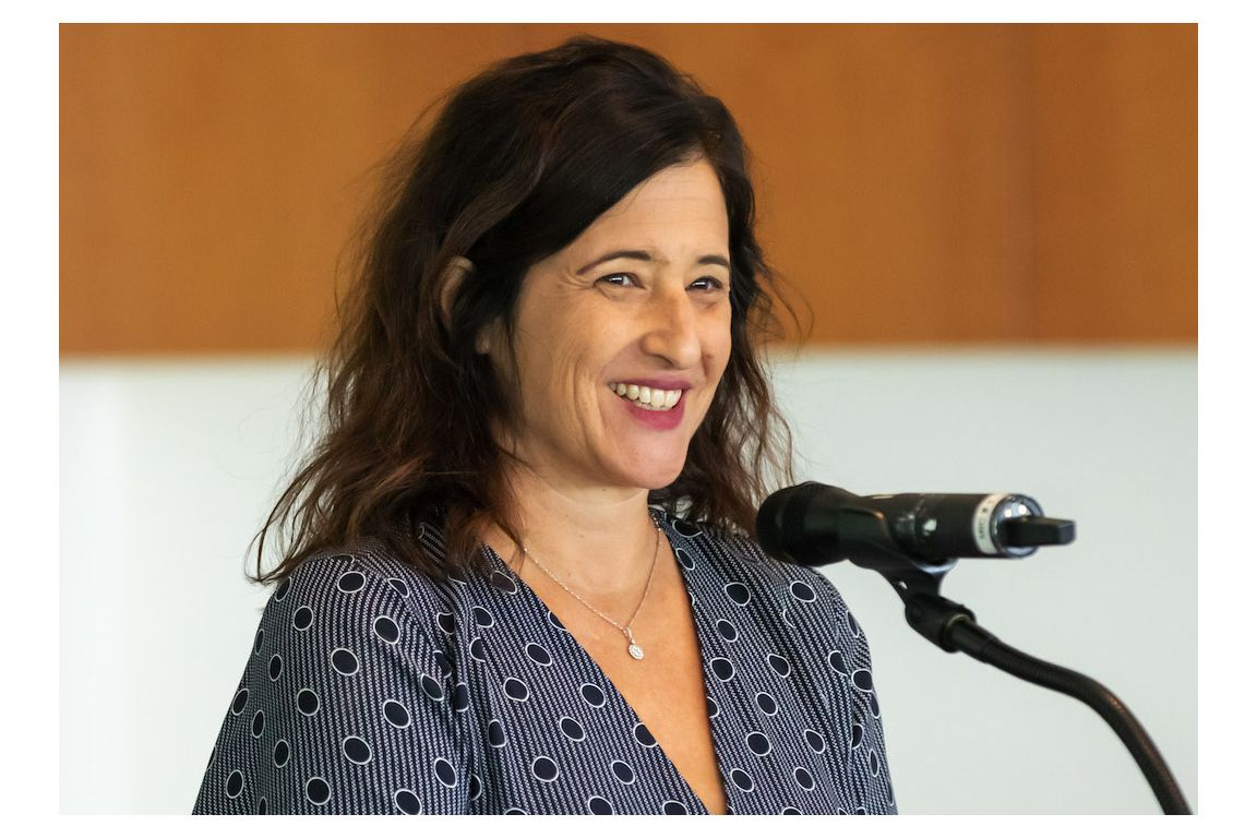 Professor elected fellow of the American Academy of Social Work and ...