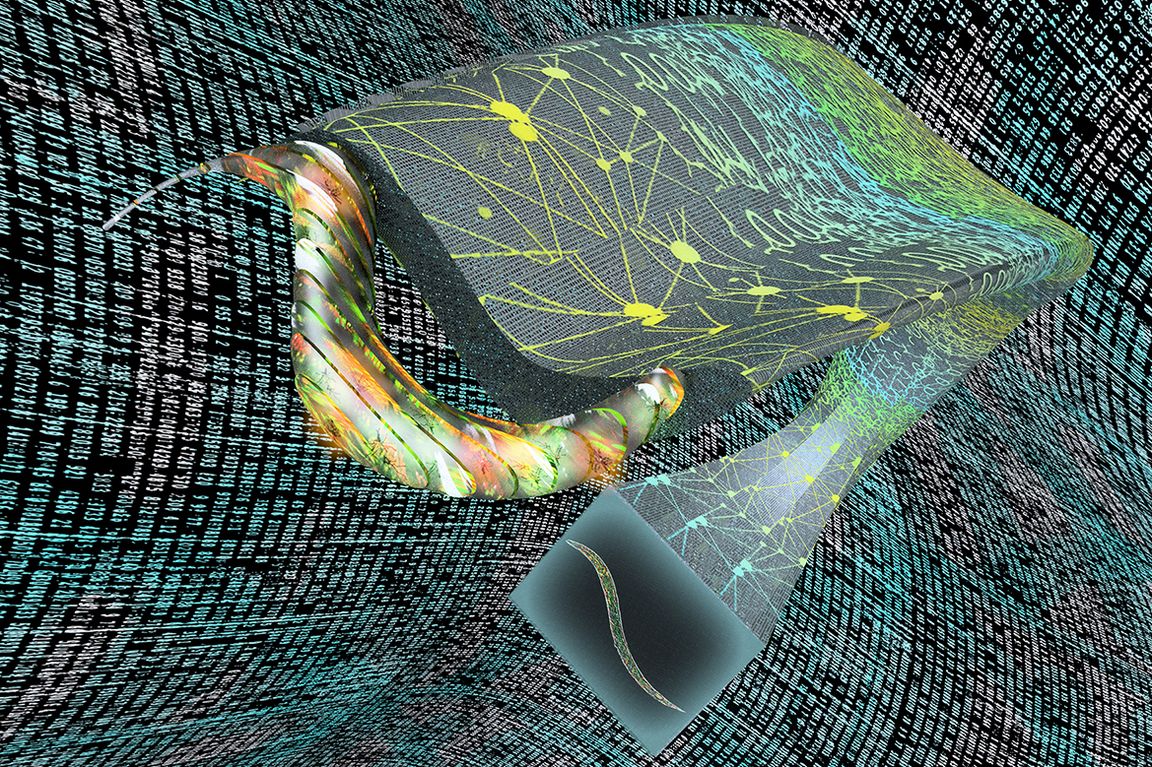 Researchers convert 2D images into 3D using deep learning | UCLA