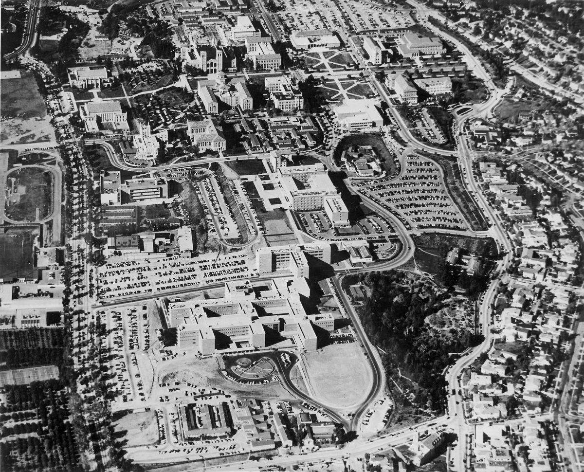 Photo | UCLA aerial photo, 1955 | UCLA