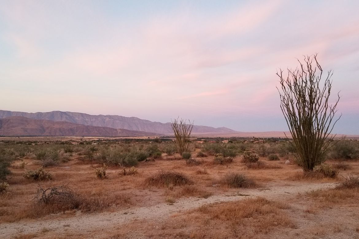 UCLA to lead $10 million California conservation project | UCLA