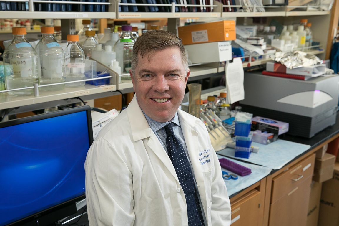 Antibody eradicates leukemia stem cells | UCLA