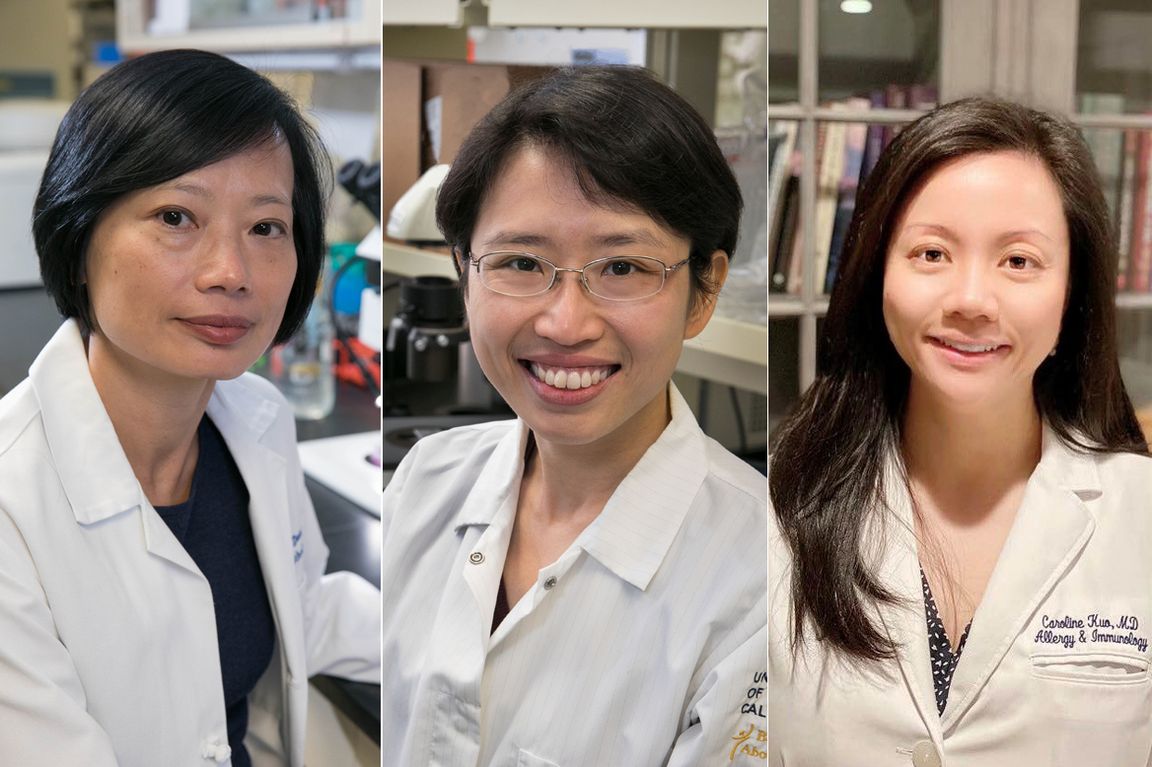 Three UCLA scientists receive grants totaling more than $18 million | UCLA