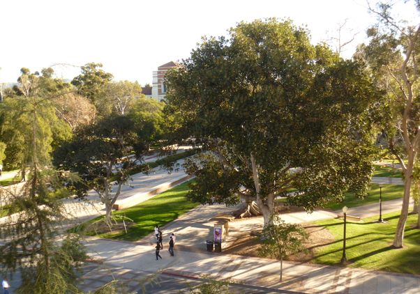 Hail to the Hills: Bridge to the Past | UCLA